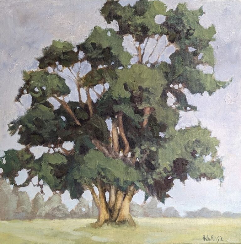 PAINTINGS – Ann Willsie, SFCA